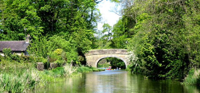 Bridge House Marina
